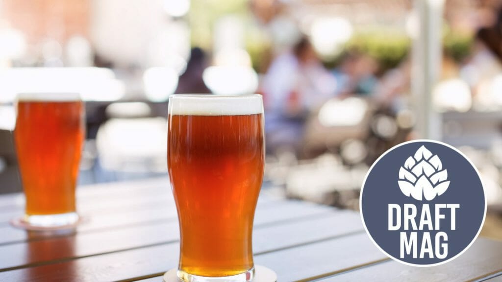 Fiddlehead IPA Review: Why You Can’t Get Enough Of This Vermont IPA