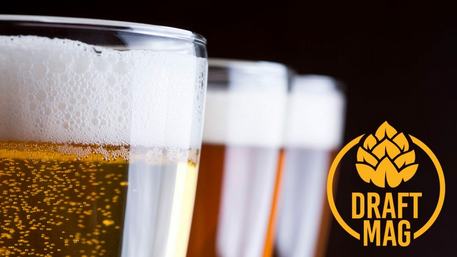 Kirin Light Beer Review: One of the Finest Light Beers Around