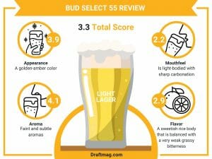 Bud Select 55 Review: A Low-cal Brew for Health-conscious Drinkers