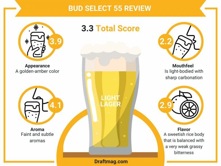 Bud Select 55 Review: A Low-cal Brew for Health-conscious Drinkers