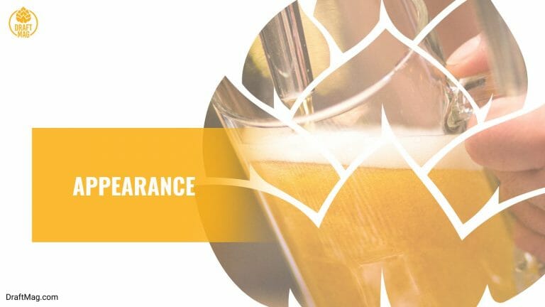 Bud Light Apple Review: The Beer That Reminds You of Apple Juice