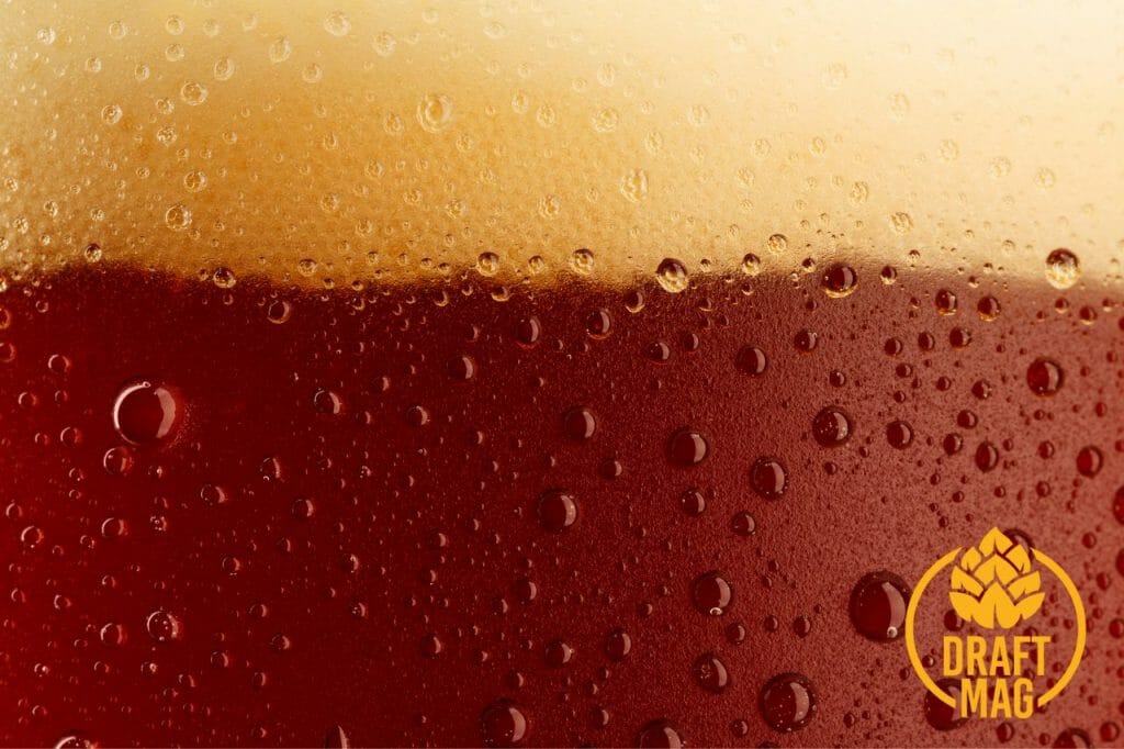 Terra Beer Review: A Close Look at This Top European Pale Lager