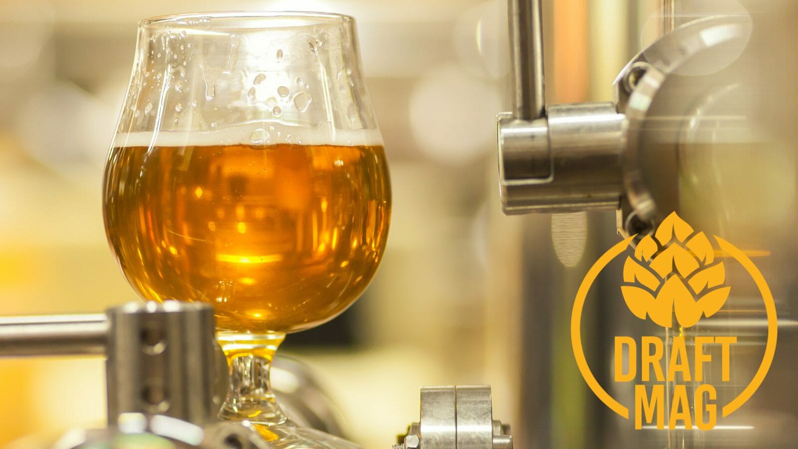 Buffalo Sam’s Review: Solid Cream Ale With Berry Esters