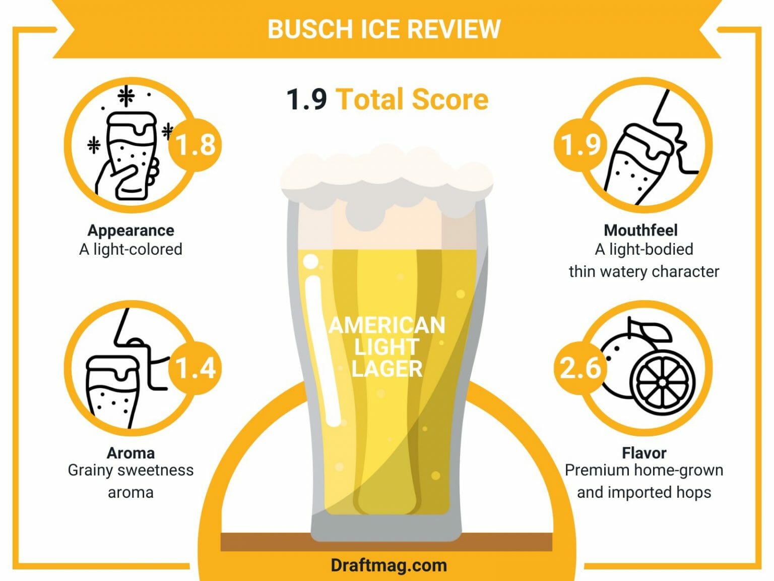 Busch Ice Review: The Complete Guide to This Special Light Lager
