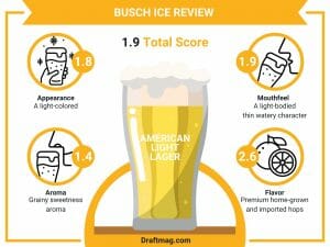 Busch Ice Review: The Complete Guide to This Special Light Lager