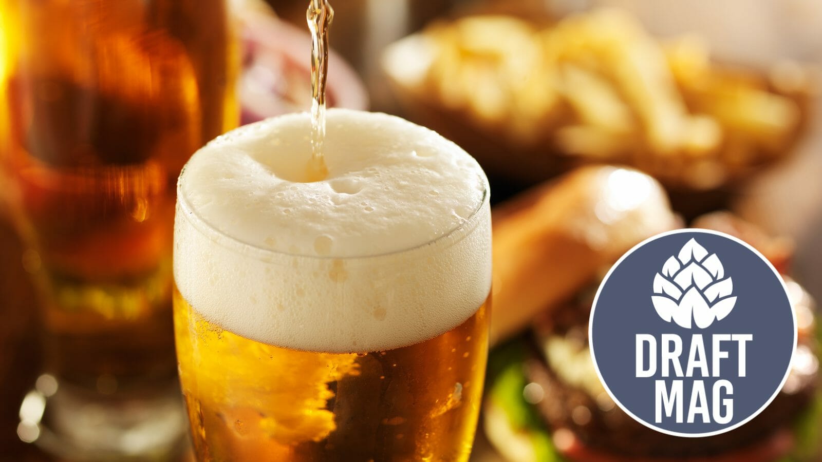 Busch Ice Review: The Complete Guide to This Special Light Lager