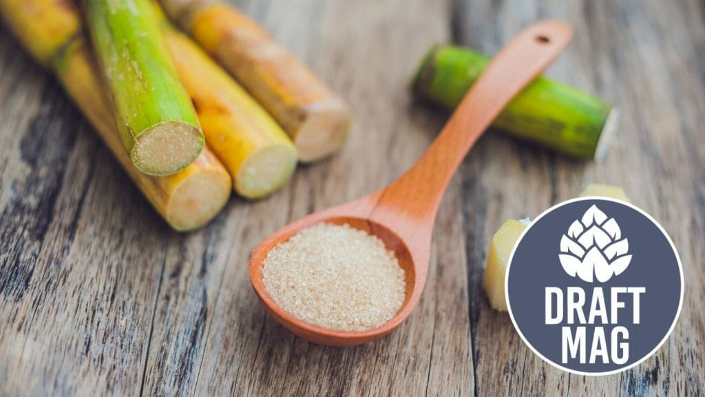 How Tall Is a Beer Can? A Definitive Guide to Brew Can Sizes