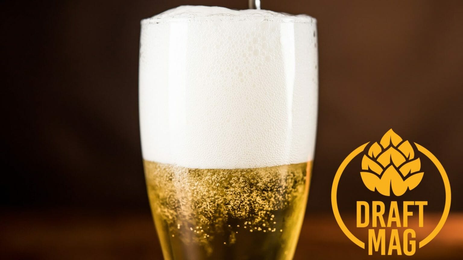 Rolling Rock Beer Review: Has the Iconic Beer Lost Its Shine?