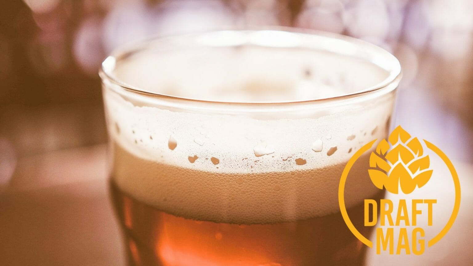 Bud Select 55 Review: A Low-cal Brew for Health-conscious Drinkers