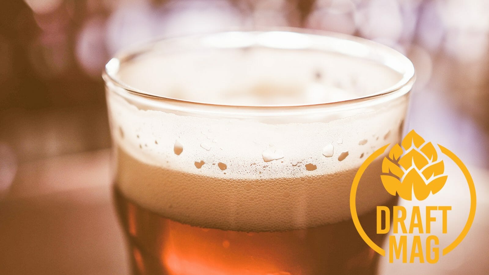 Cerveza Toña Review: What Makes This Lager Different From Others?