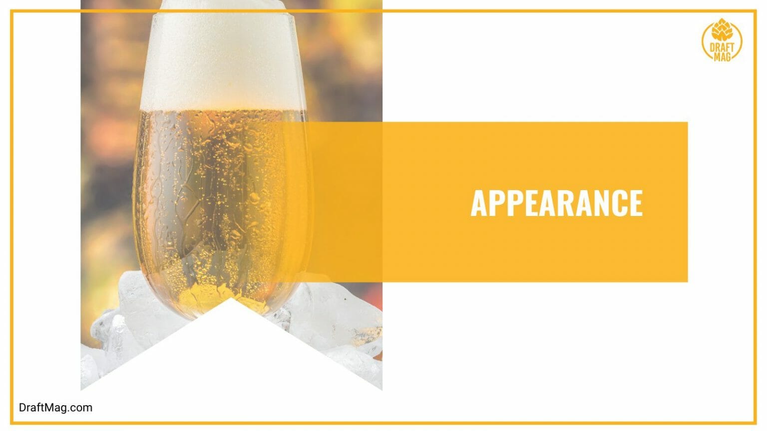 Heinekin Review: Is This the Best European Lager in the Market?