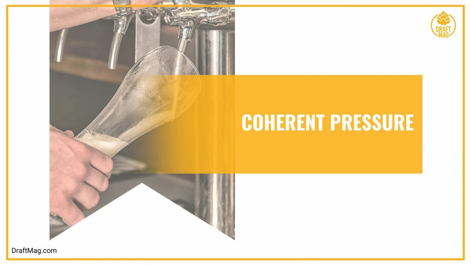 Draught Beer: The Complete Guide to a Specially Served Brew