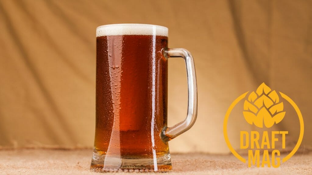 Modelo Chelada Review: Should You Try This Popular Specialty Beer?