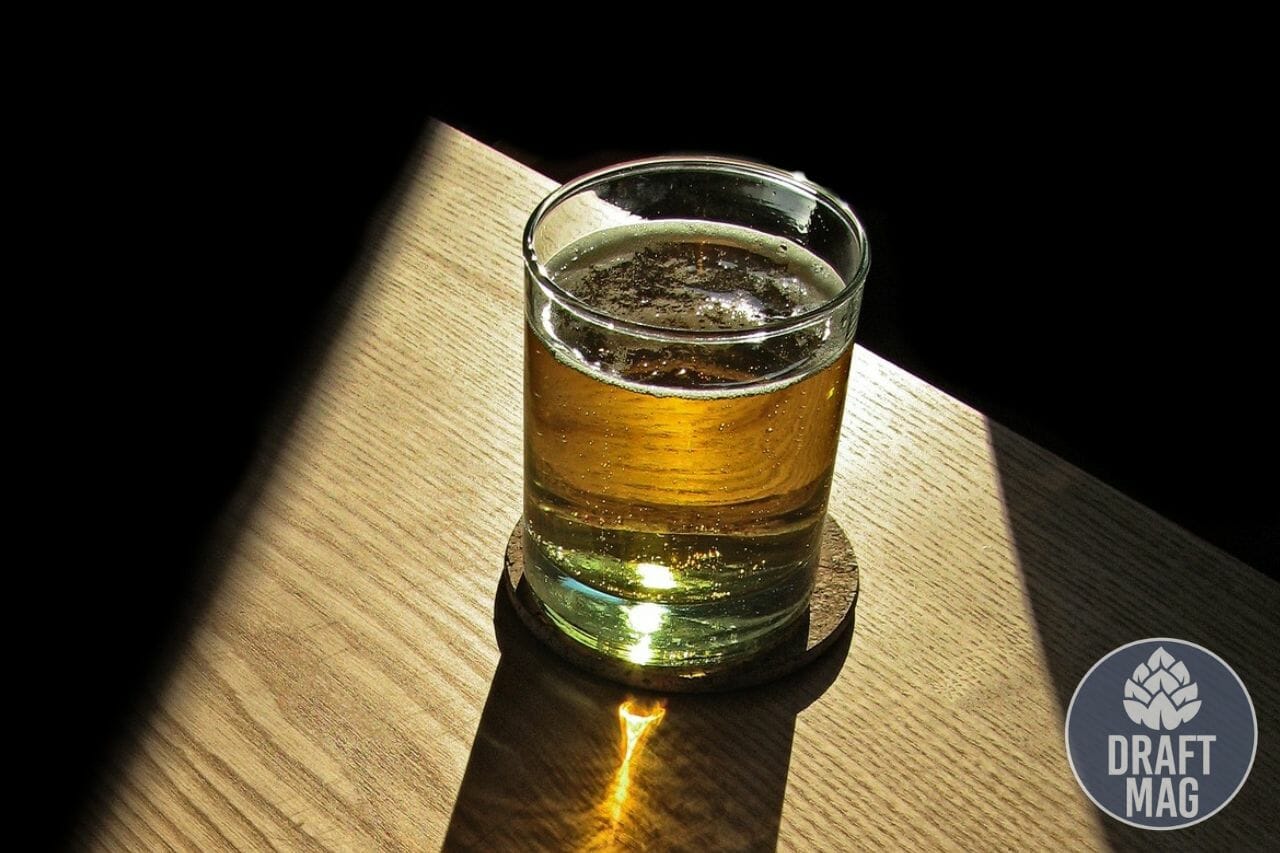 Tecate Light Review: Complete Details About This Light Mexican Beer