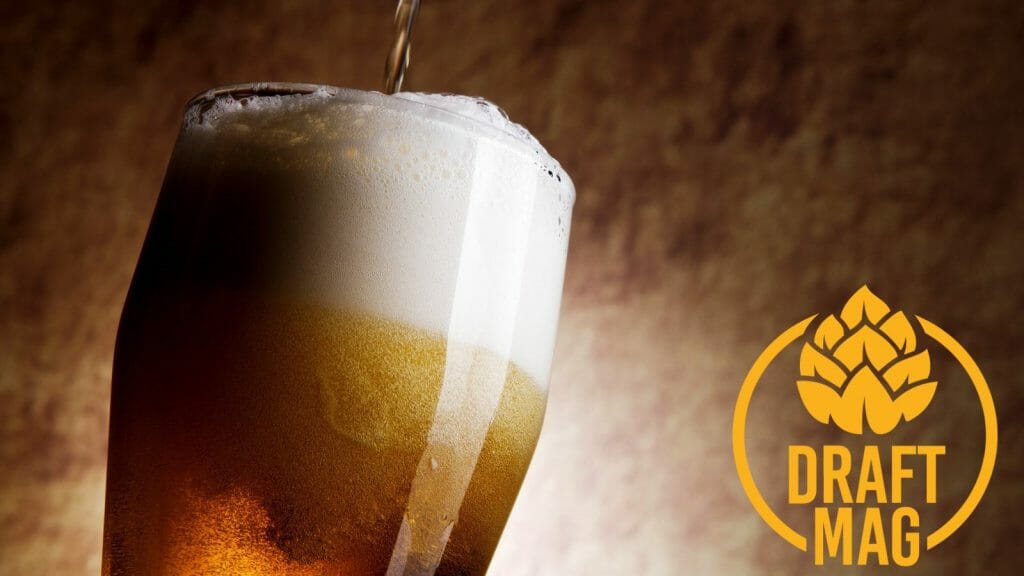 Love Street Beer Review: Should This Brew Be On Your To-drink List?