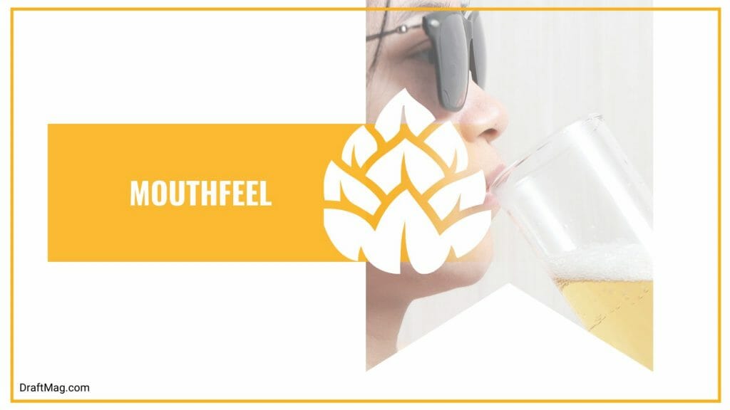 Regia Beer Review: The Brew That Boasts of Numerous Accolades