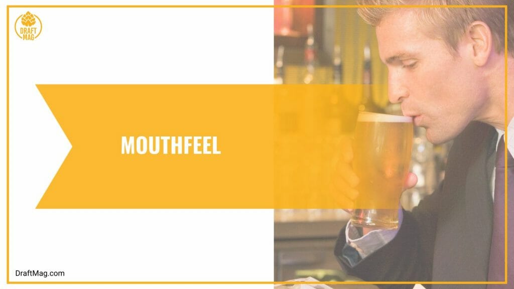 Barrilitos Beer Review: An American Adjunct Lager to Behold