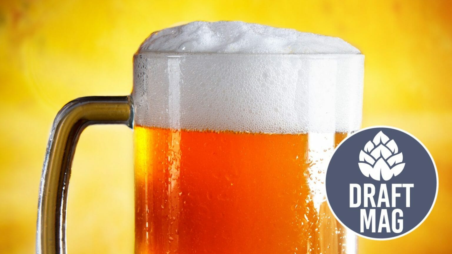 Terra Beer Review: A Close Look at This Top European Pale Lager