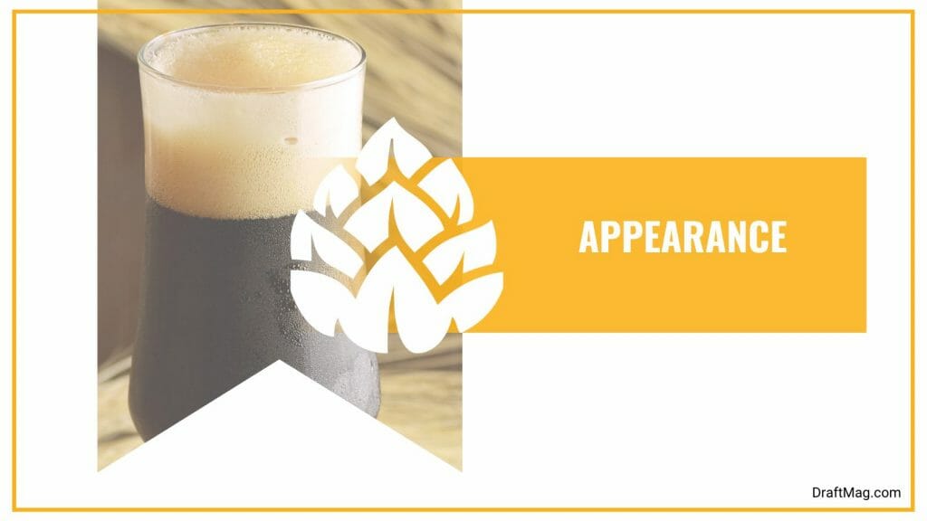 Mississippi Mud Beer Review: Add It to Your Drink List or Not?