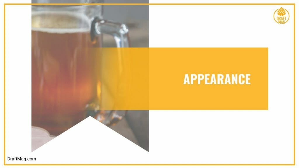 Switchback Ale Review: A Detailed Look at This Top Vermont Ale