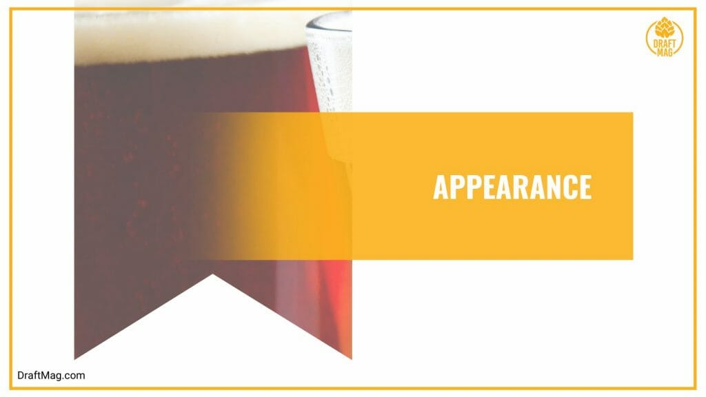 Spaten Optimator Review: A Sweet and Creamy Doppelbock for Everyone
