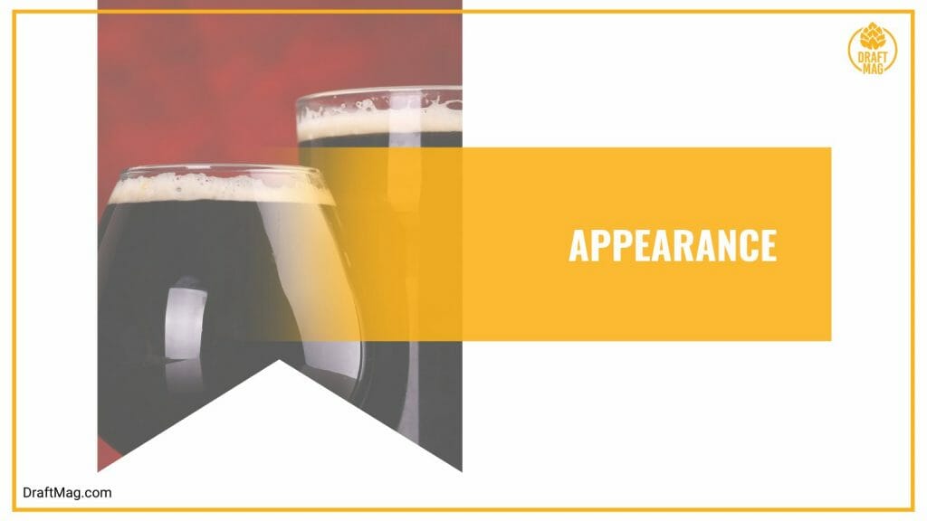 Warsteiner Dunkel Review: Everything About the Dark-colored Beer