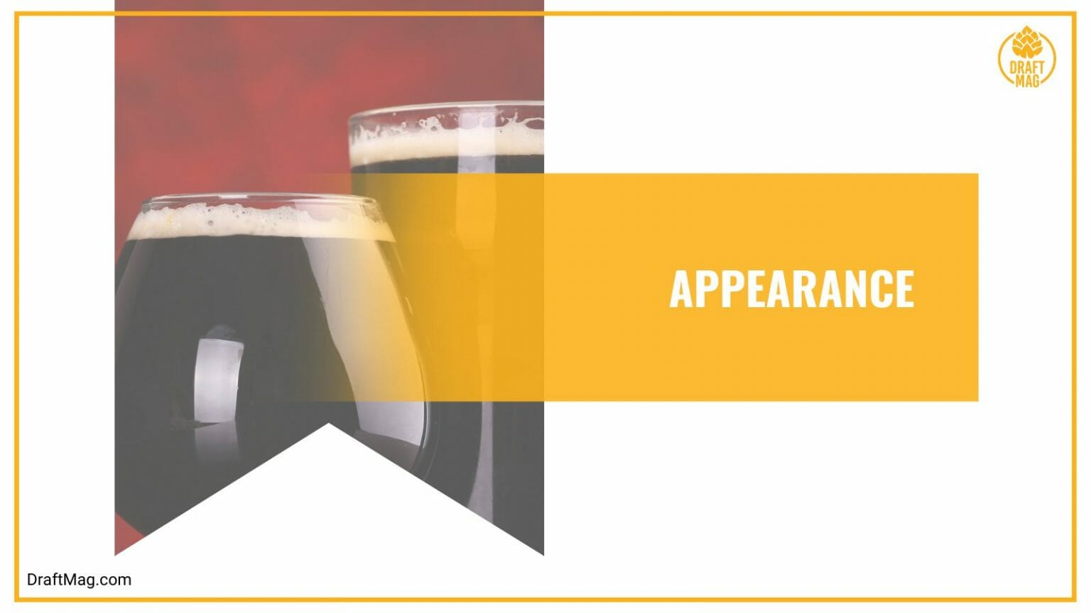 Warsteiner Dunkel Review: Everything About the Dark-colored Beer