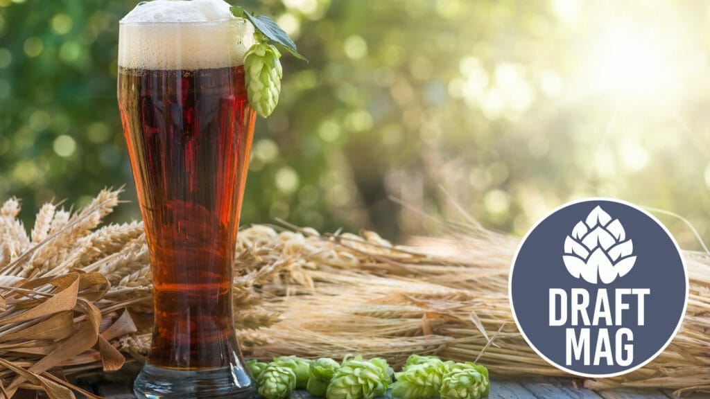 Dragon Stout Review: Is This Popular Jamaican Beer a Hit or Miss?