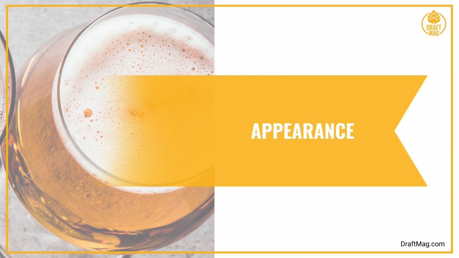 Bodhizafa IPA Review: An Award-winning Fruity and Hoppy IPA
