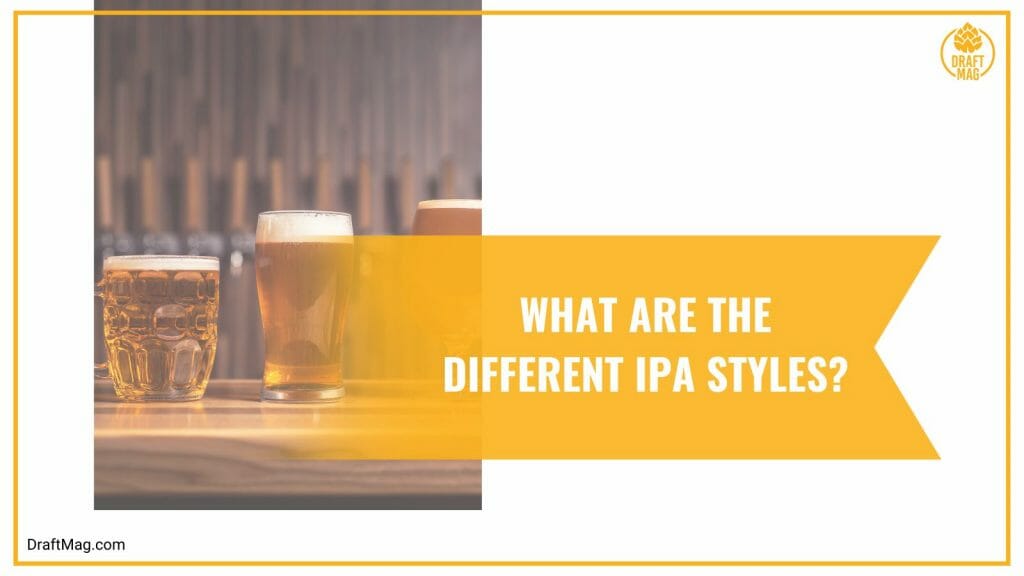 What Does IPA Stand For in Beer? A Comprehensive Answer