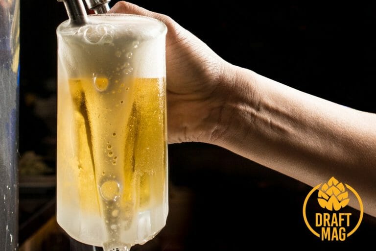 Dos Equis Review: Where German and Mexican Brewing Come Together