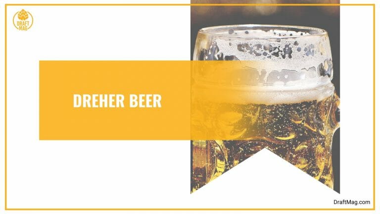 Hungarian Beer: The Best Beer Brands in Hungary To Enjoy