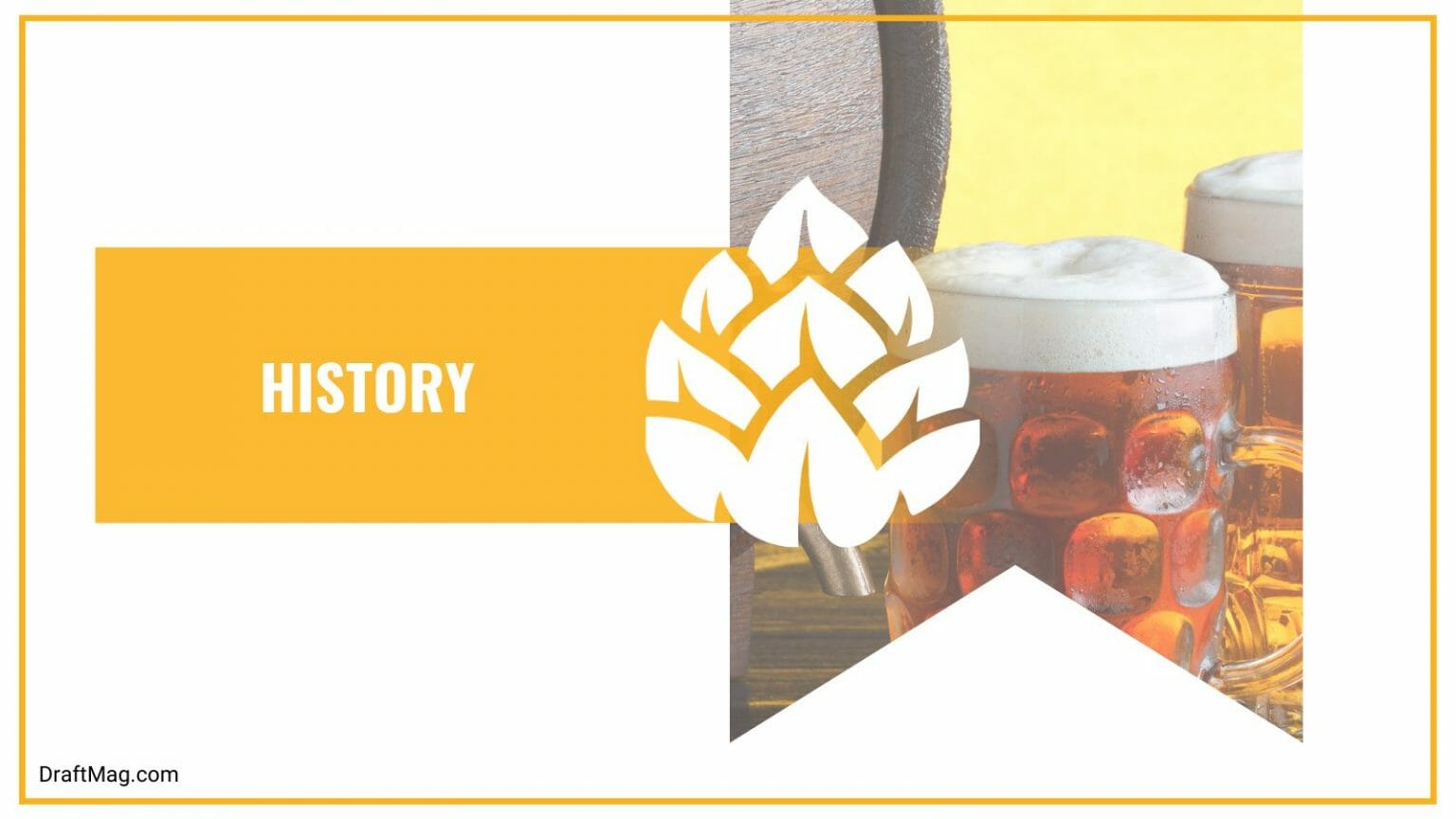 Flower Power IPA Review: A Hoppy and Juicy Punch for IPA Lovers