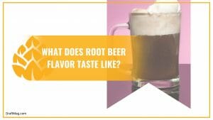 Root Beer Flavor: A Complete Guide to What It Tastes Like