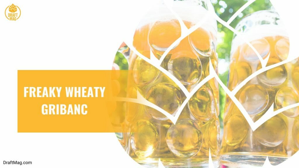 Hungarian Beer: The Best Beer Brands in Hungary To Enjoy