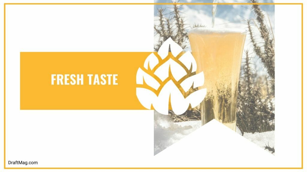 Draught Beer: The Complete Guide to a Specially Served Brew