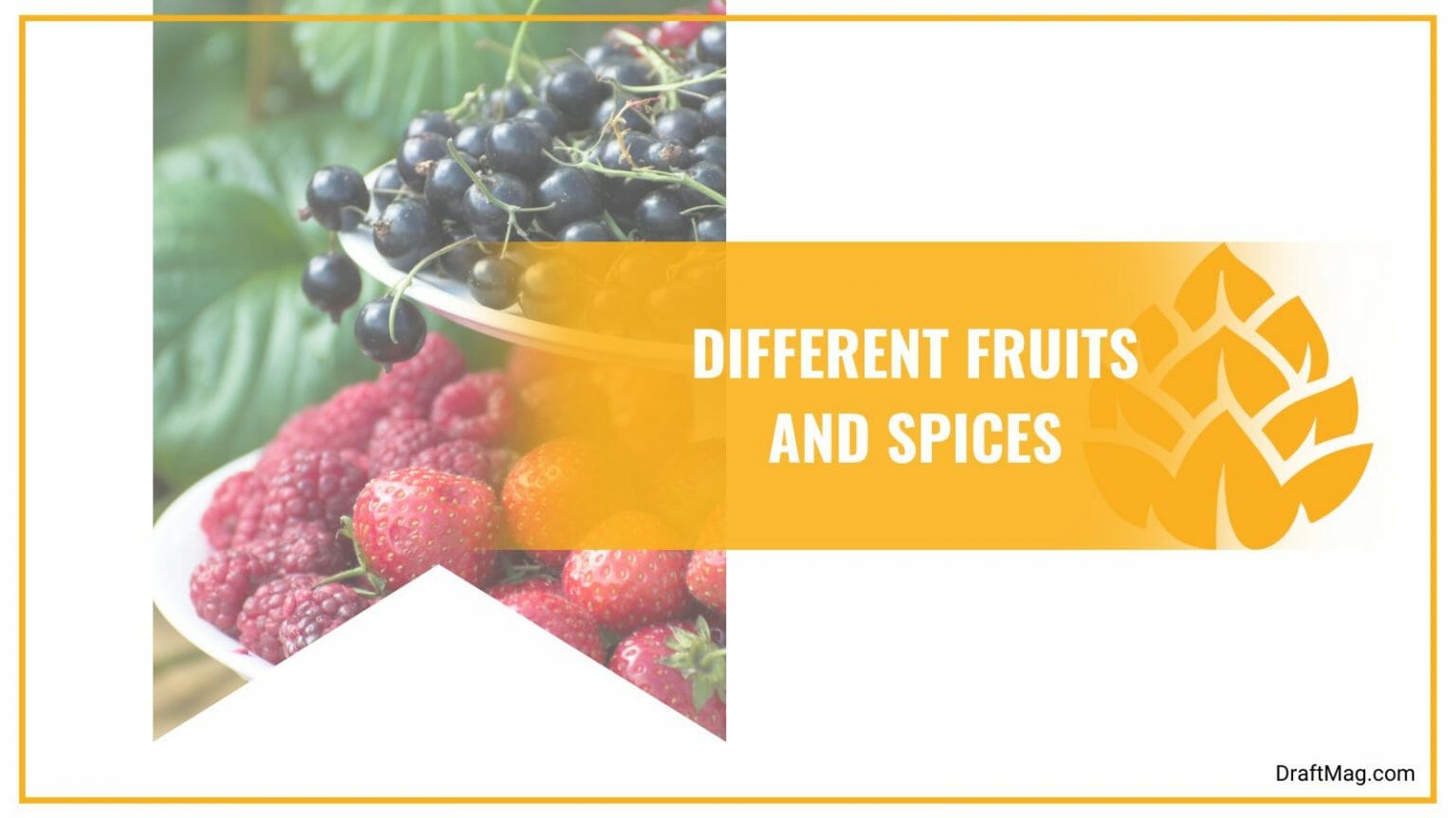 What Does Beer Smell Like? A Guide to the Most Common Beer Aromas