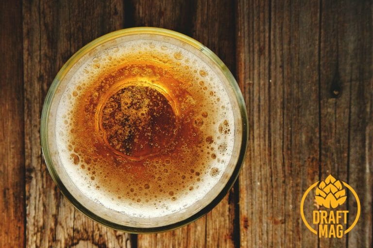 Bodhizafa IPA Review: An Award-winning Fruity and Hoppy IPA