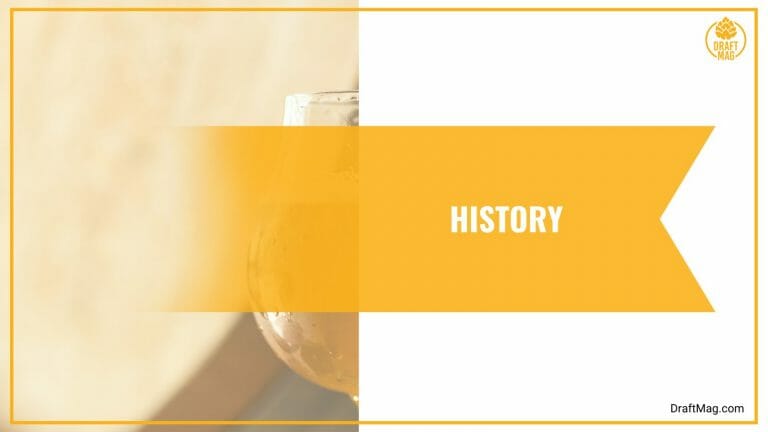 Bodhizafa IPA Review: An Award-winning Fruity and Hoppy IPA