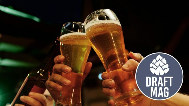 Terra Beer Review: A Close Look at This Top European Pale Lager