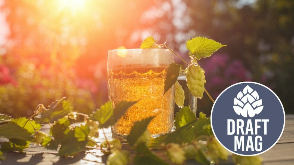 Barrilitos Beer Review: An American Adjunct Lager to Behold