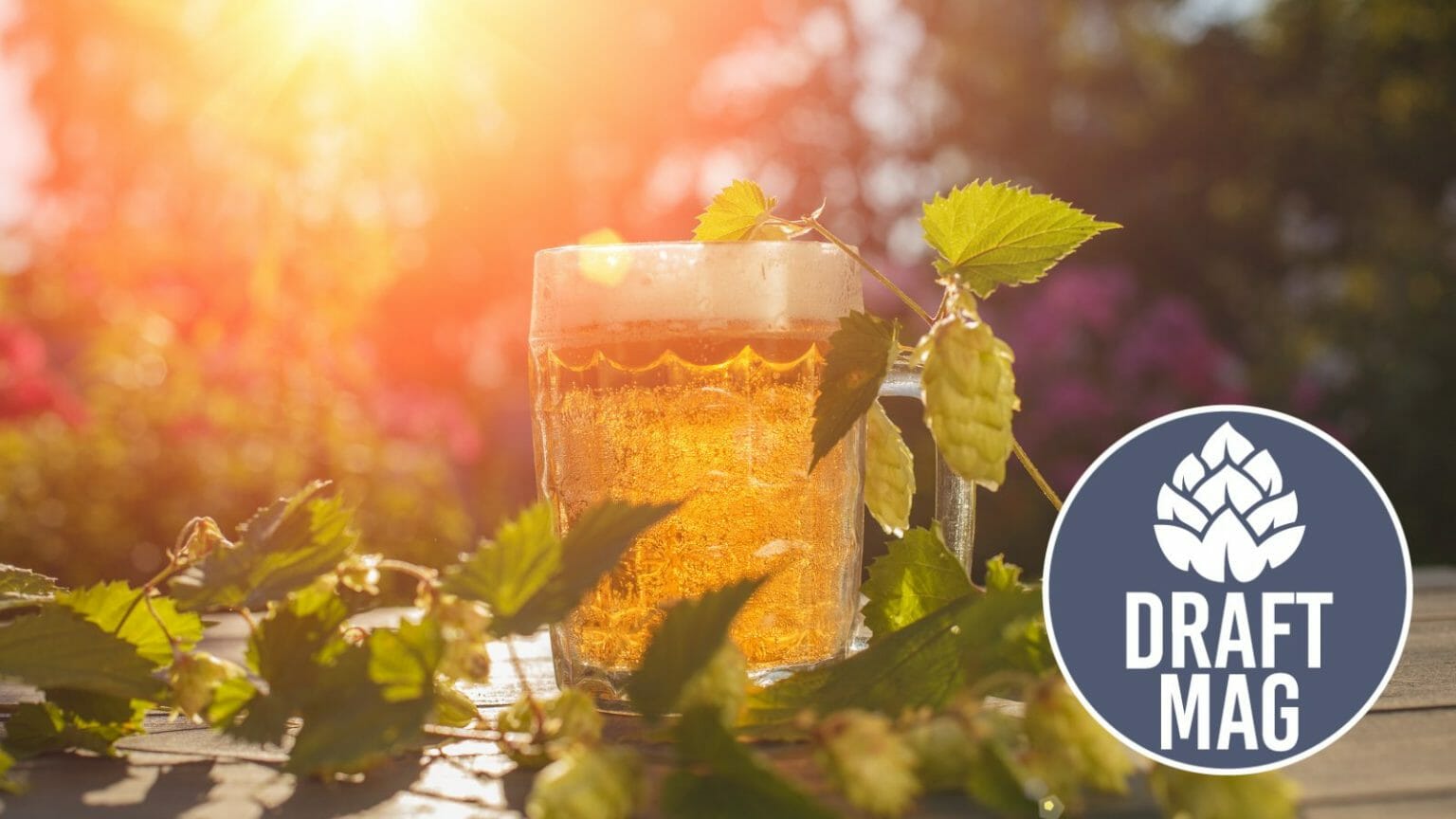 Electric Jellyfish IPA: A Review of the Top Beer for All Hop Heads