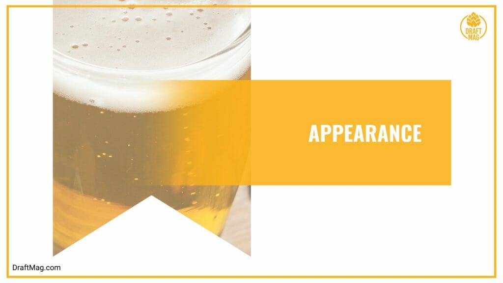 Simpler Times Lager Review: Classic American Lager With Belgian Spice