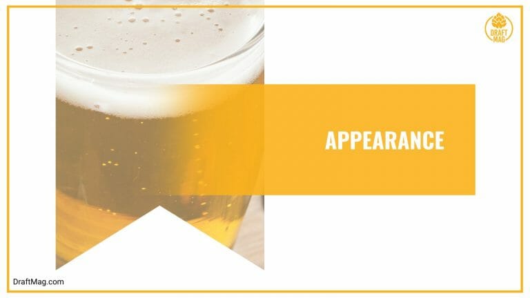 Simpler Times Lager Review: Classic American Lager With Belgian Spice