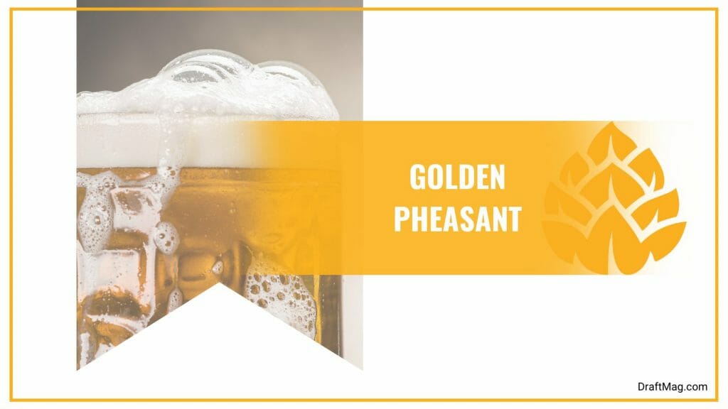 Slovakian Beer: The Best and Tastiest Slovak Ales Ever