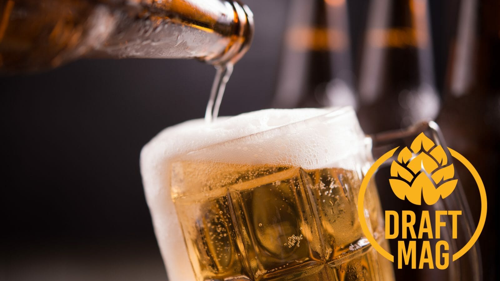 Goldmine Beer Review: All You Need To Know About This Adjunct Lager