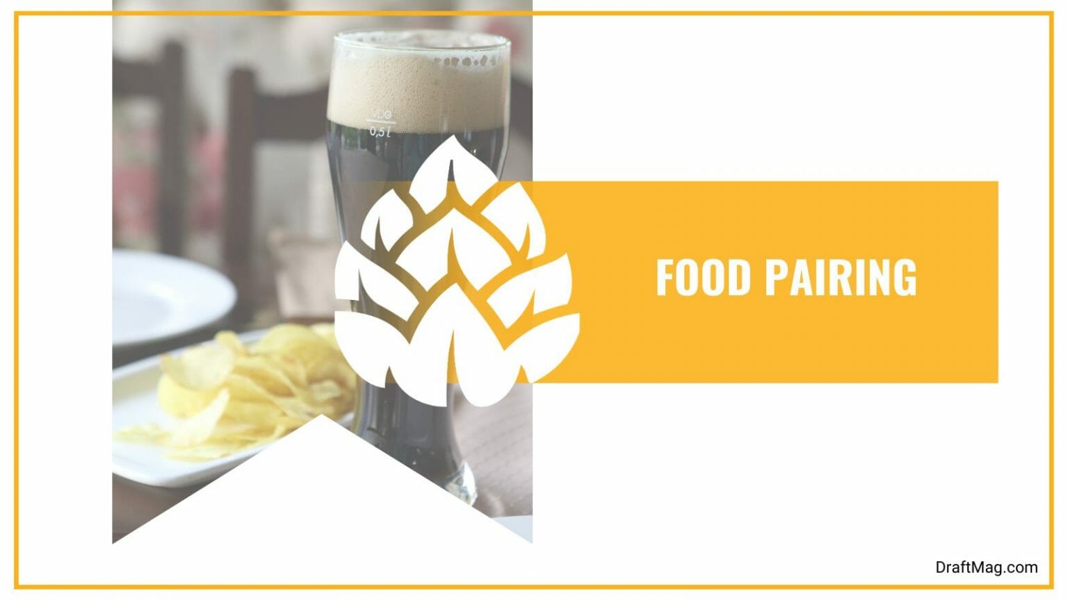 Mississippi Mud Beer Review: Add It to Your Drink List or Not?