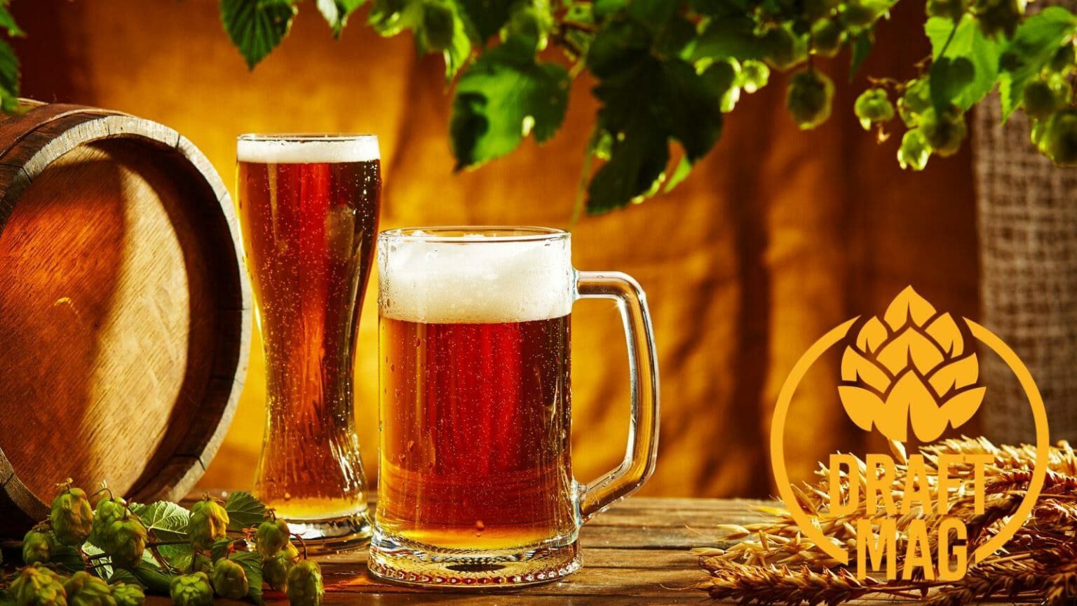 Shock Top Belgian White Review: Uniquely Crafted Wheat Ale