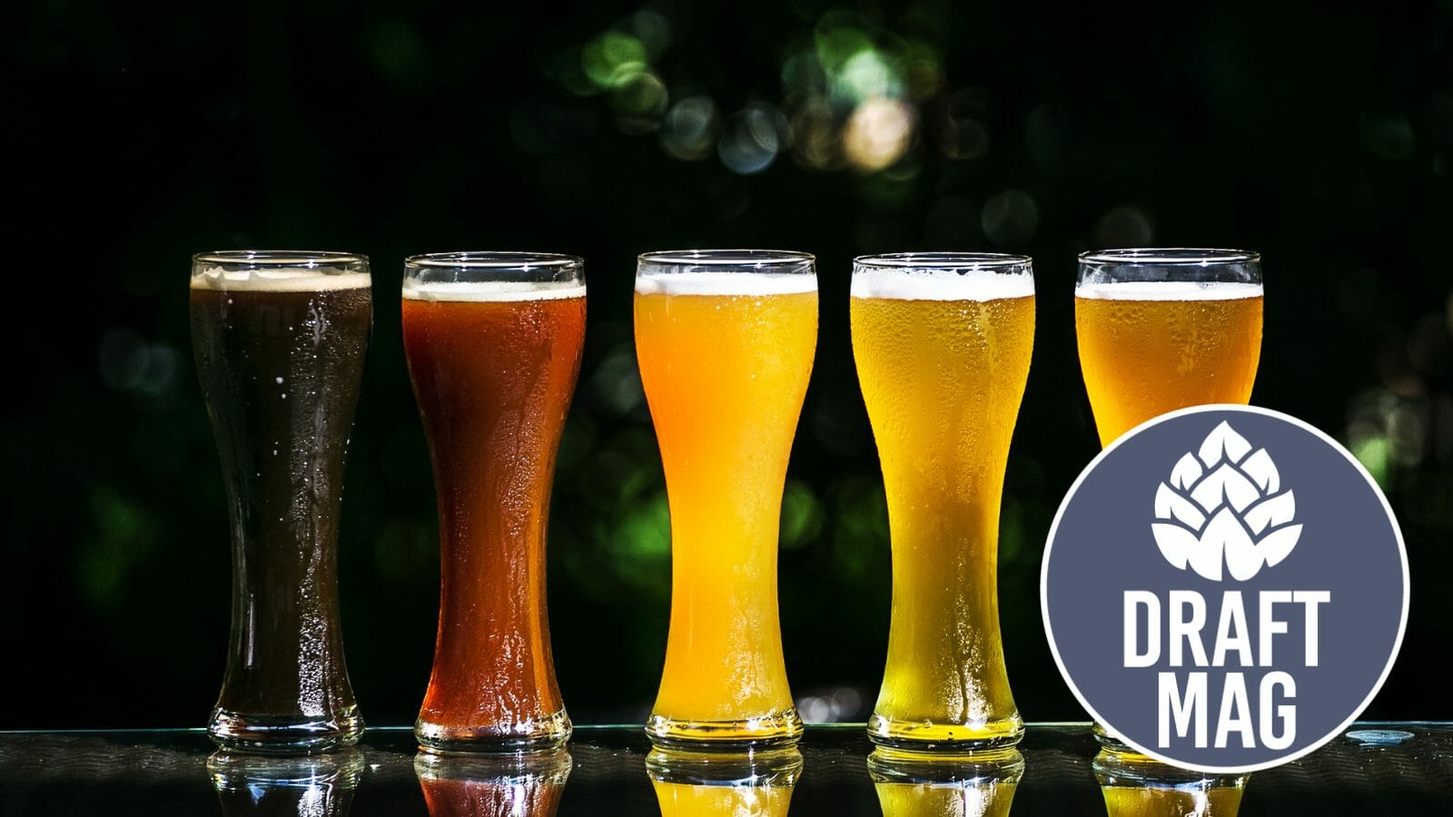 Goose Island 312 Review: A Bright and Crisp Wheat Beer for All