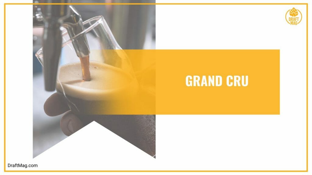 Strongest Belgian Beers: Best High ABV Brews From Belgium